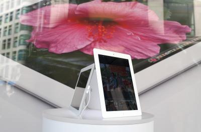 How to Configure an iPad's Mute Button