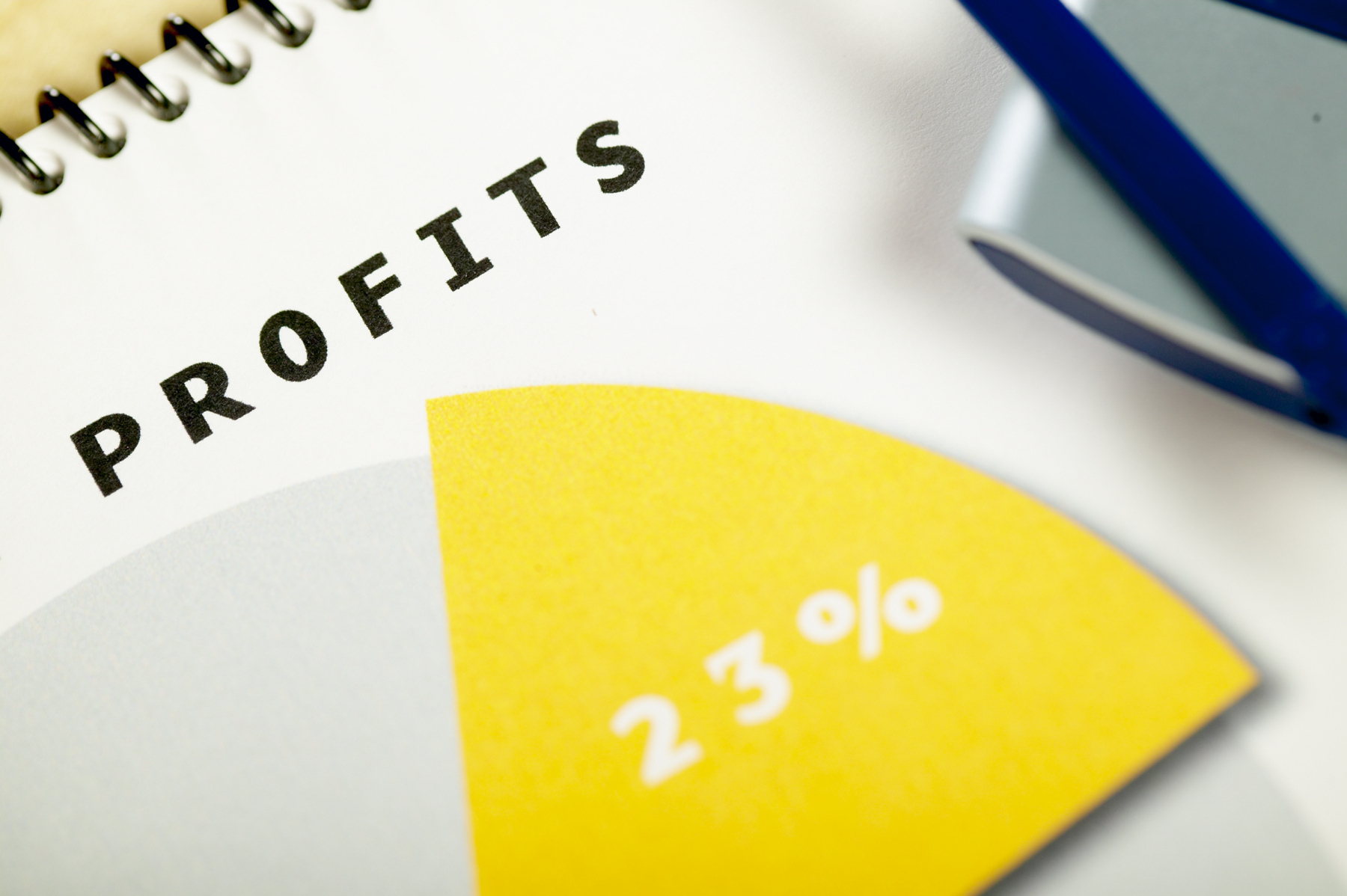 Net Profit Percentage Goals of Any Business