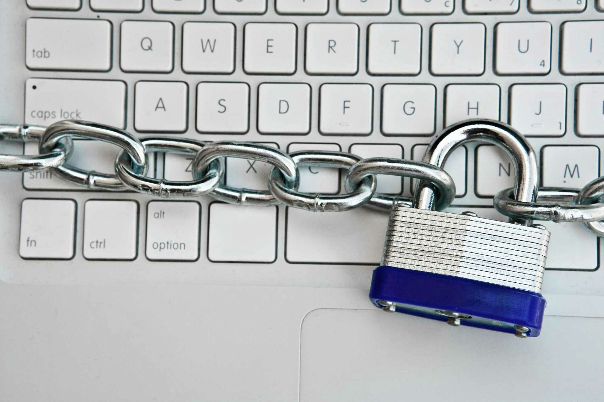 The Effects of Computer Hacking on an Organization