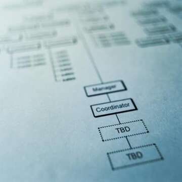 What Are the Benefits of a Normal Line Authority Organizational Structure?