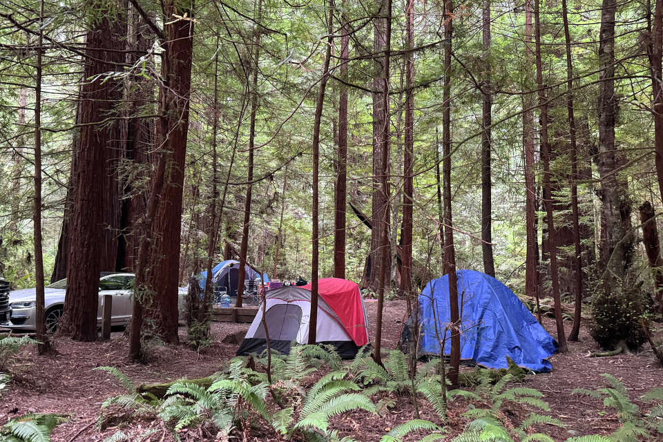 A serene Northern Calif. campground where you don't need a reservation