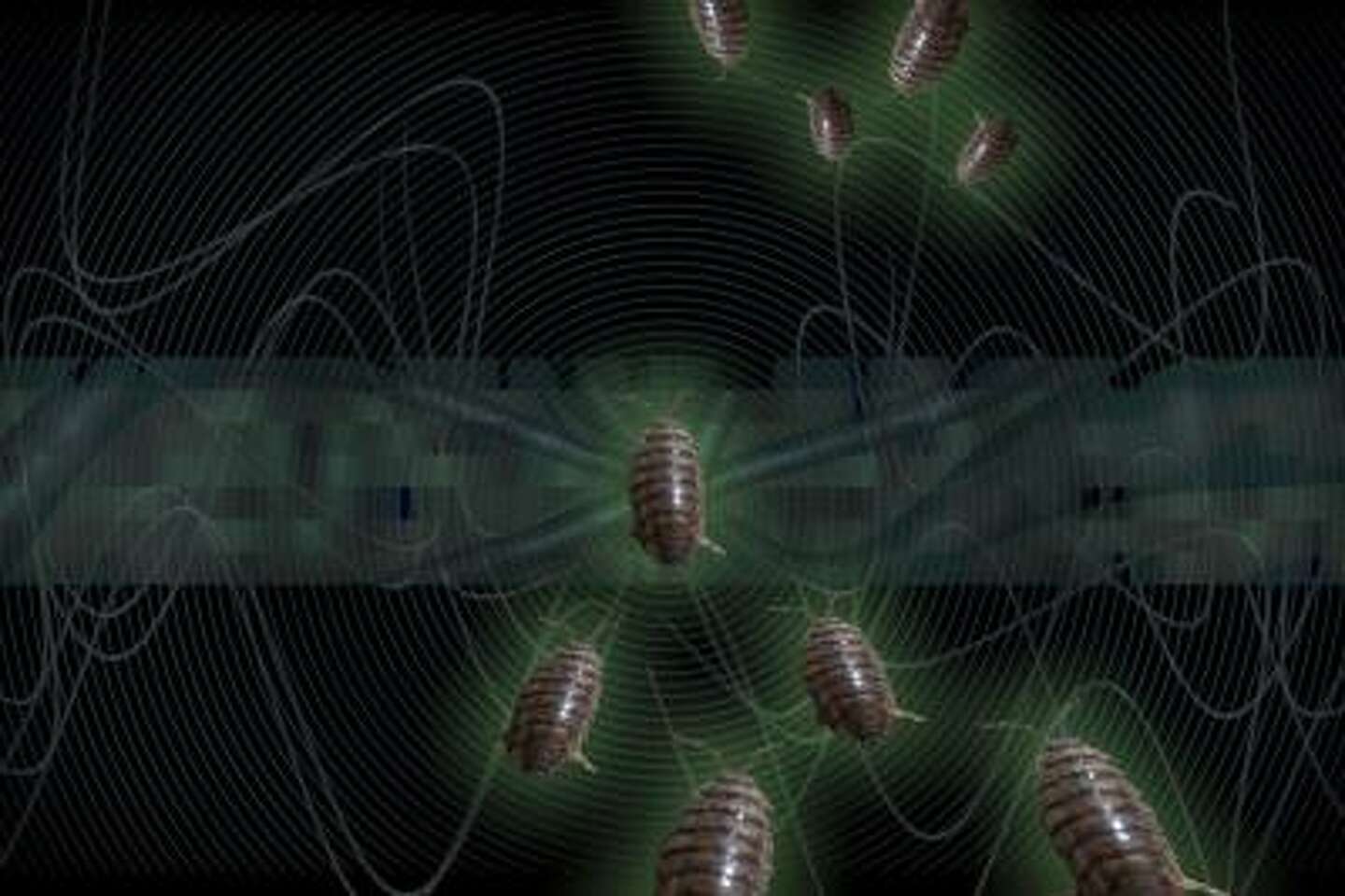 How to Get Rid of a Trojan Using Malwarebytes