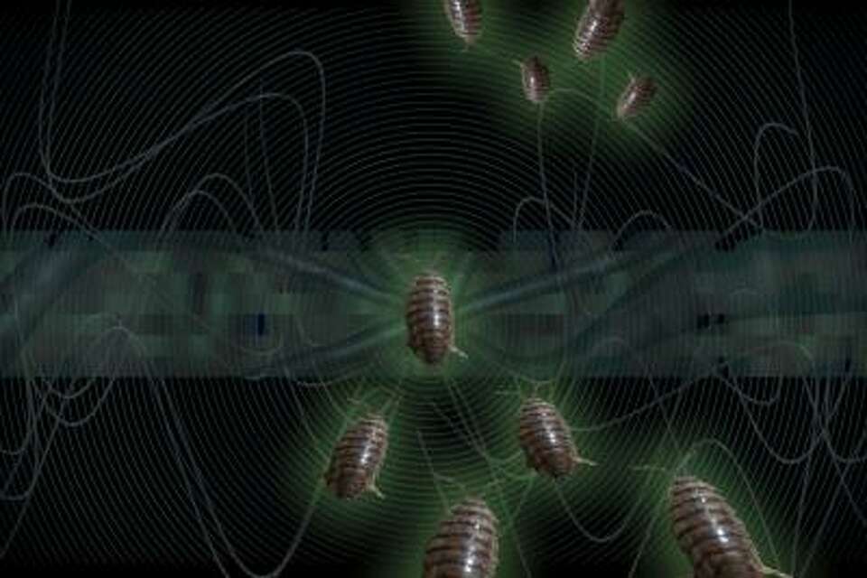 How to Get Rid of a Trojan Using Malwarebytes