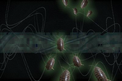 How to Get Rid of a Trojan Using Malwarebytes