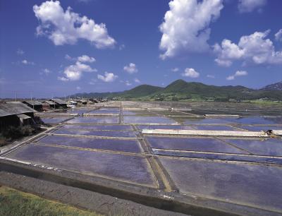 Components of a Fish Farming System