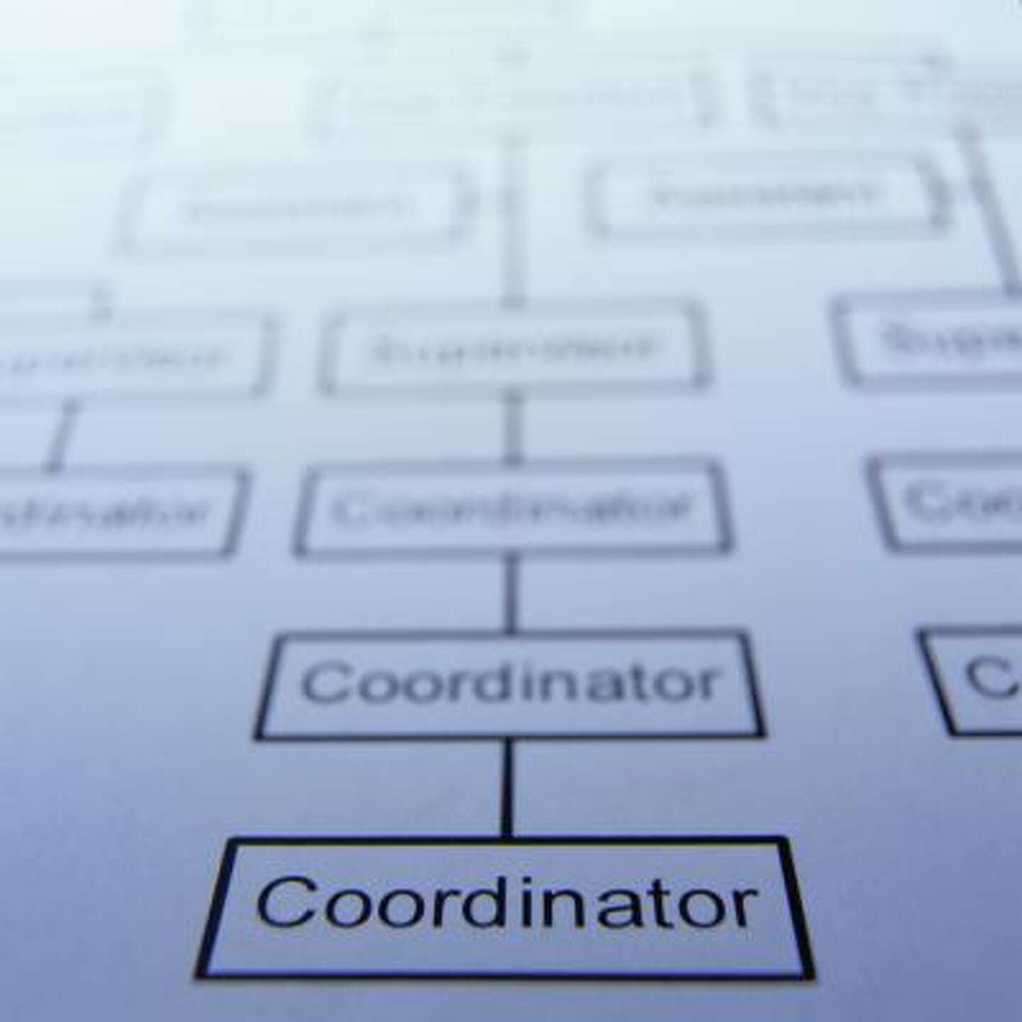 The Impact of Flat Organizational Structure on Communication