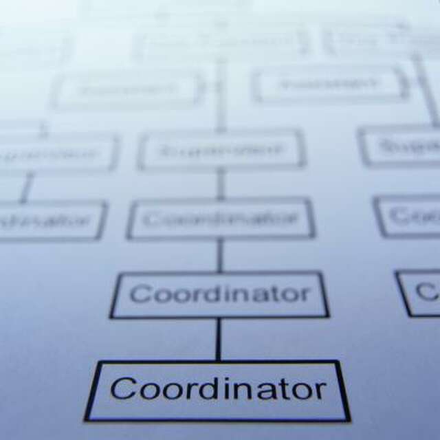 The Impact of Flat Organizational Structure on Communication