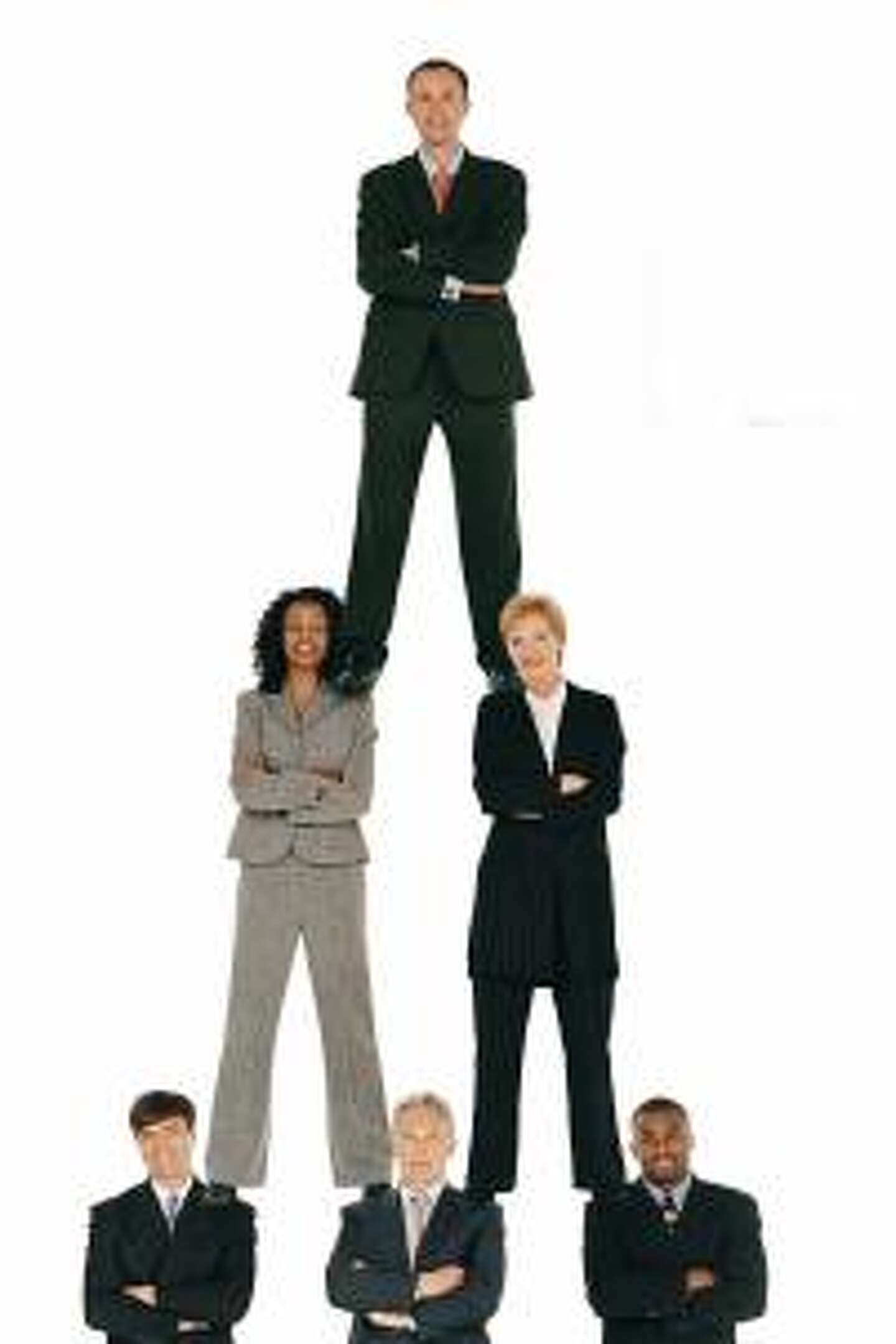 What Is an Egalitarian-Style Company?