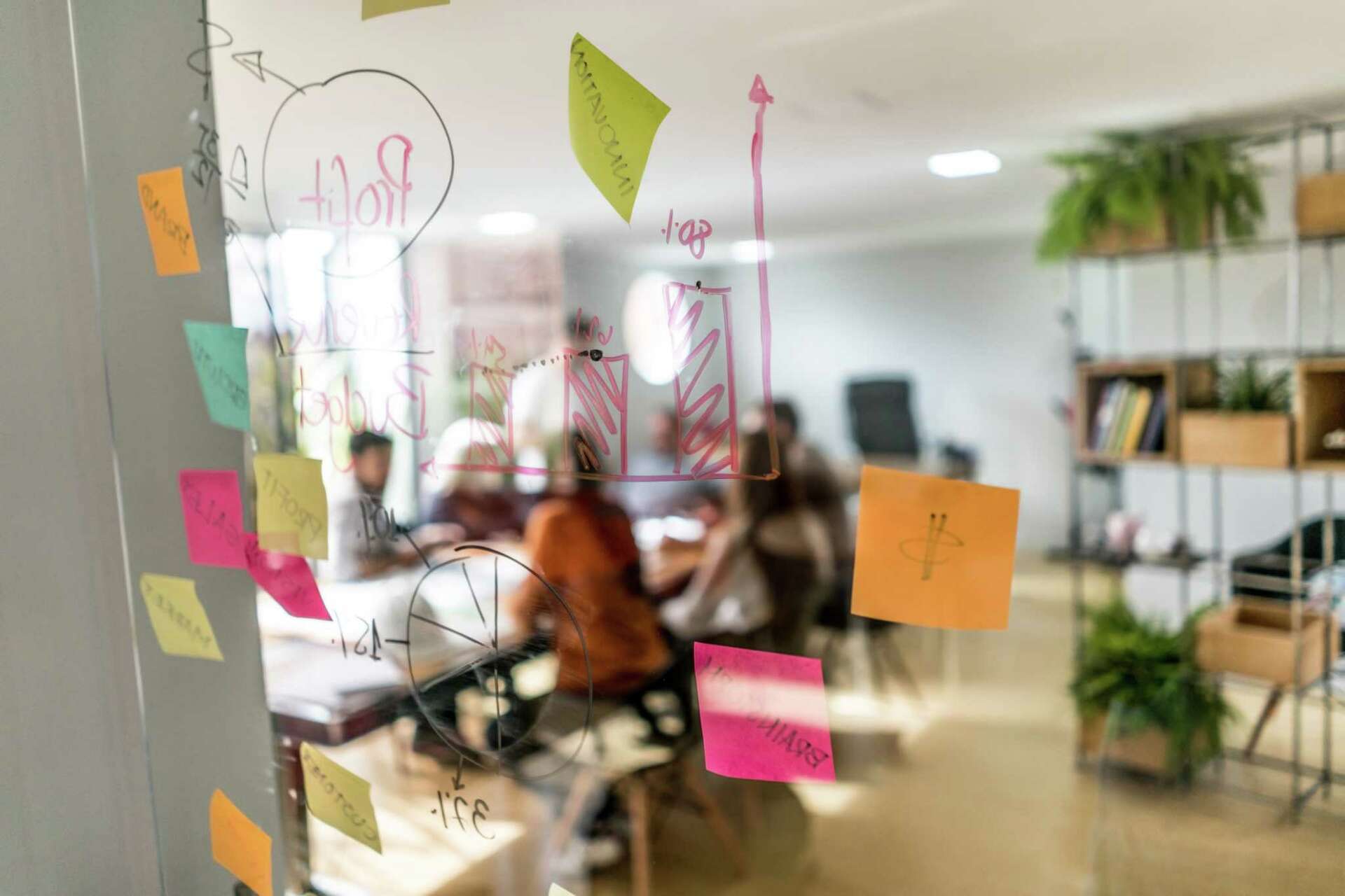 What Is the Difference Between Differentiated & Undifferentiated ...