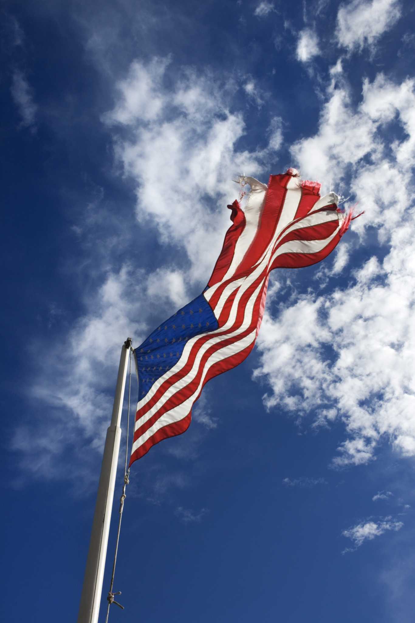 How to Make a Mirrored Image in Illustrator