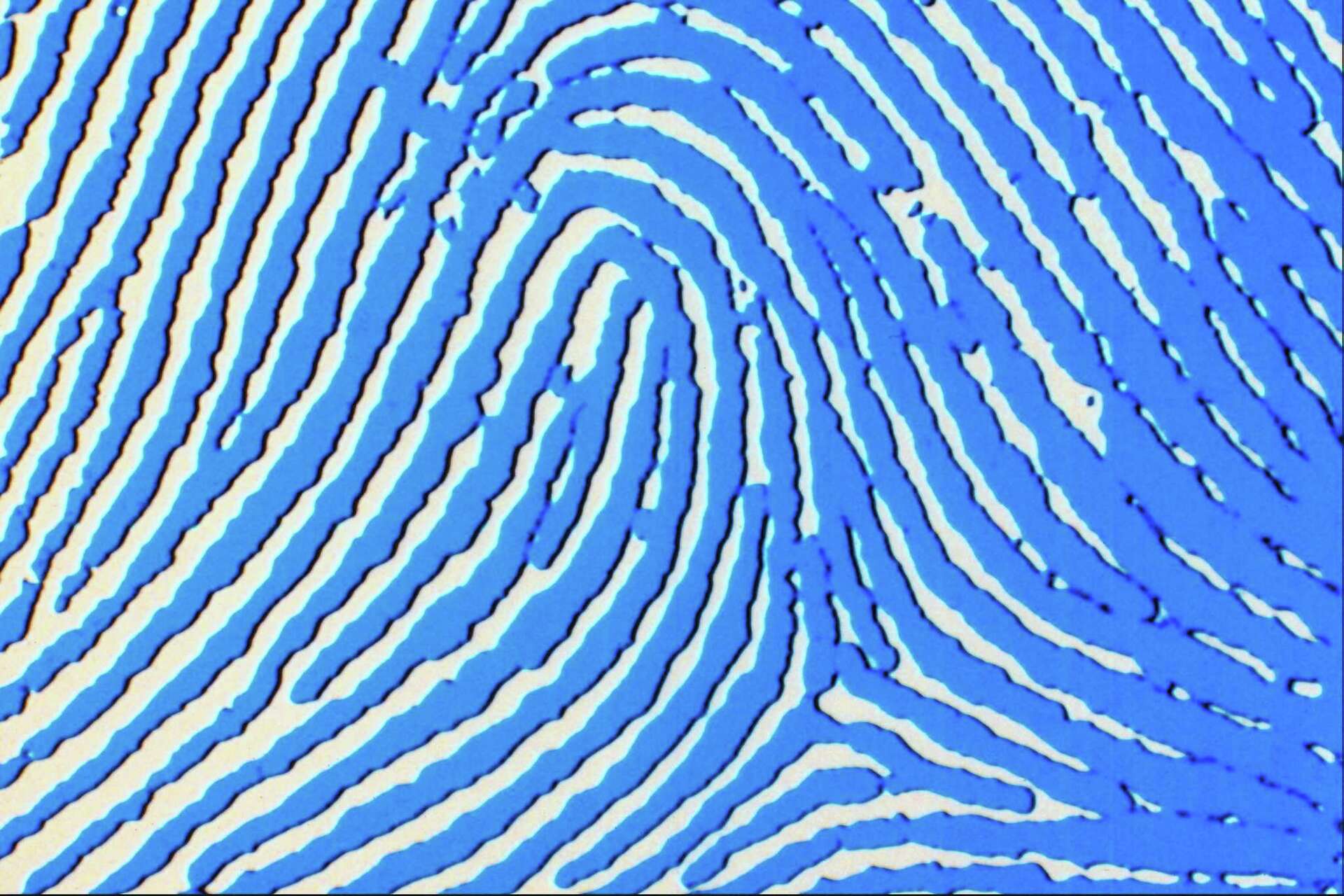 How to Disable ThinkPad Fingerprint