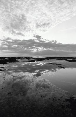 What Is Dithering in Photoshop?