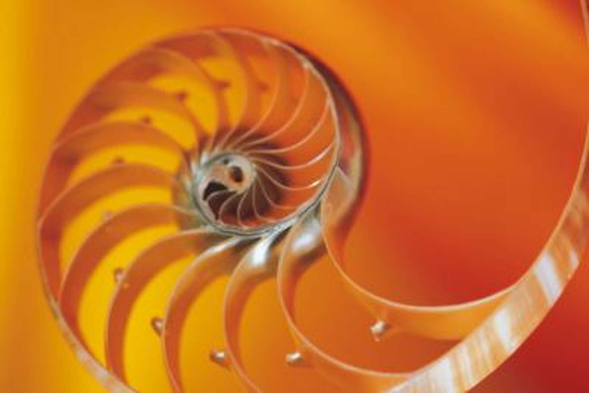 How to Draw a Spiral in Powerpoint