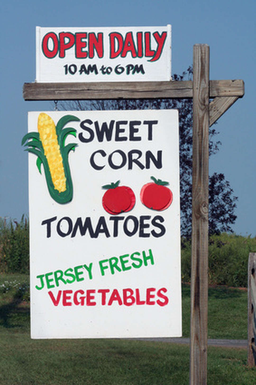 Examples of Vertically Integrated Companies