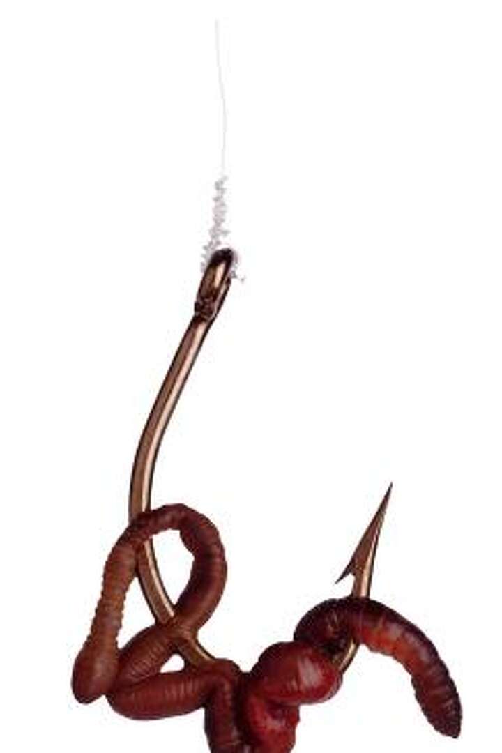 How Do I Farm European Nightcrawlers?