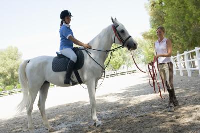 Government Grants to Start Non-Profit Horse Riding