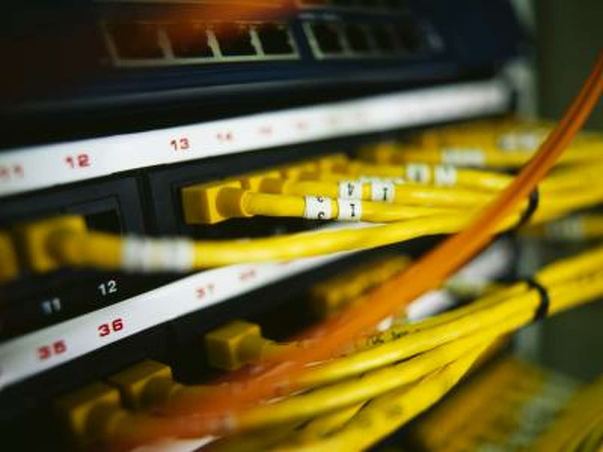 What Hardware Devices Are Typically Found on a LAN?