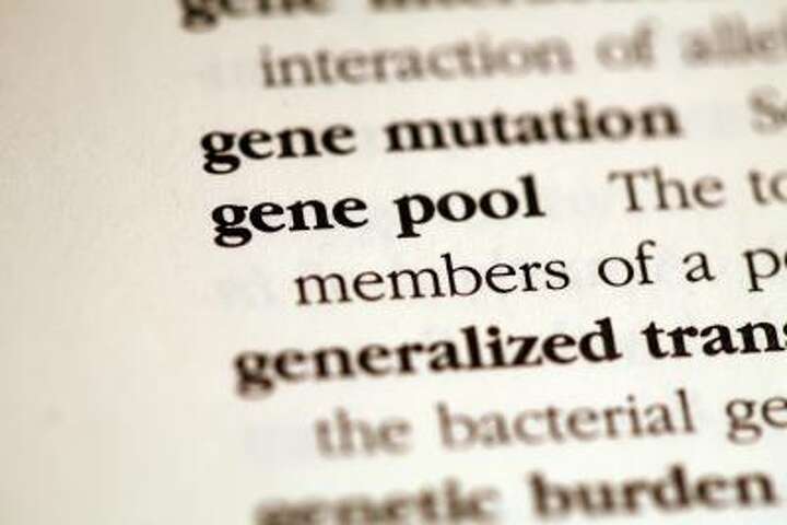 How to Unhyphenate in InDesign