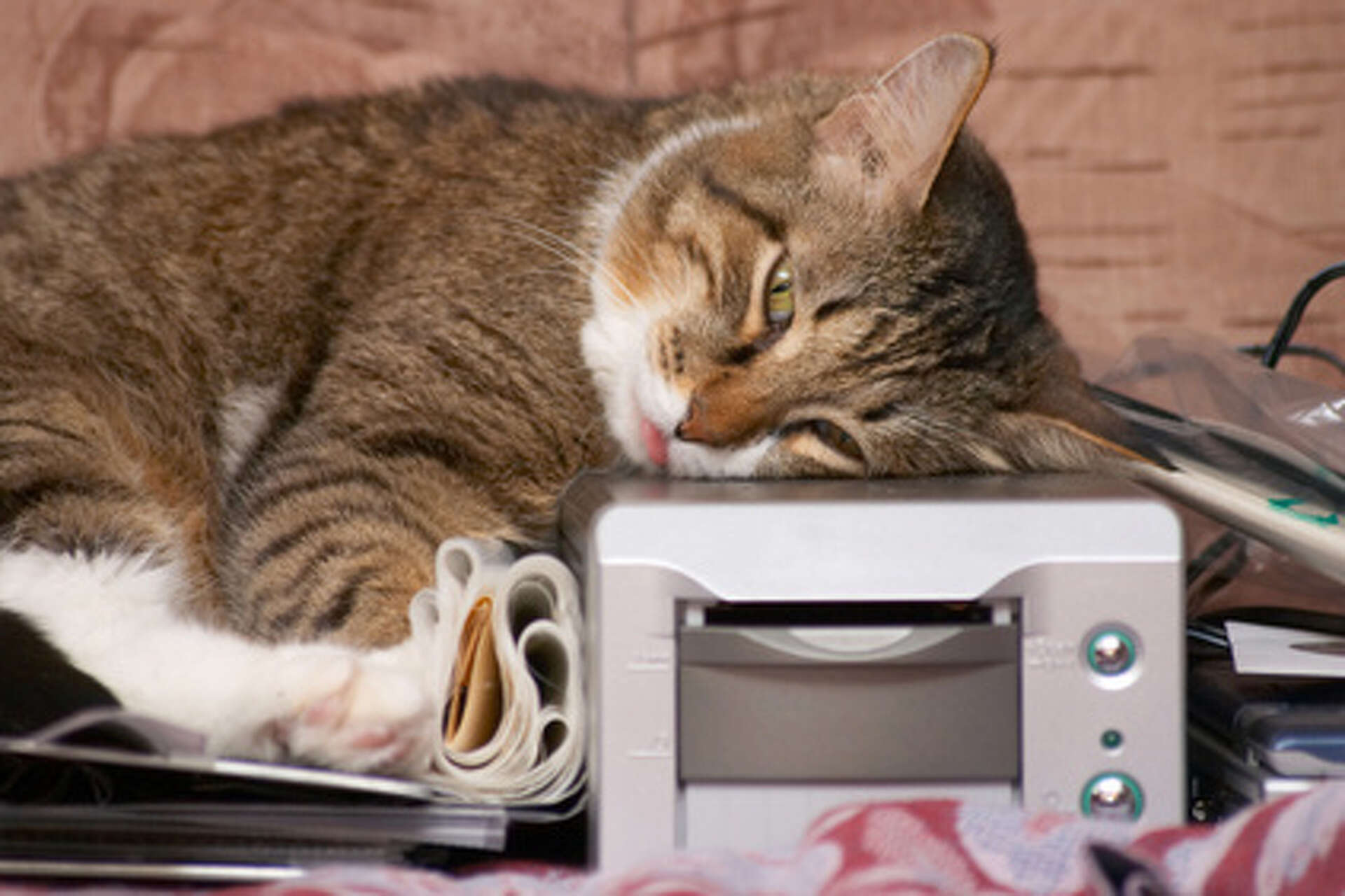 Imaging Documents With a Webcam