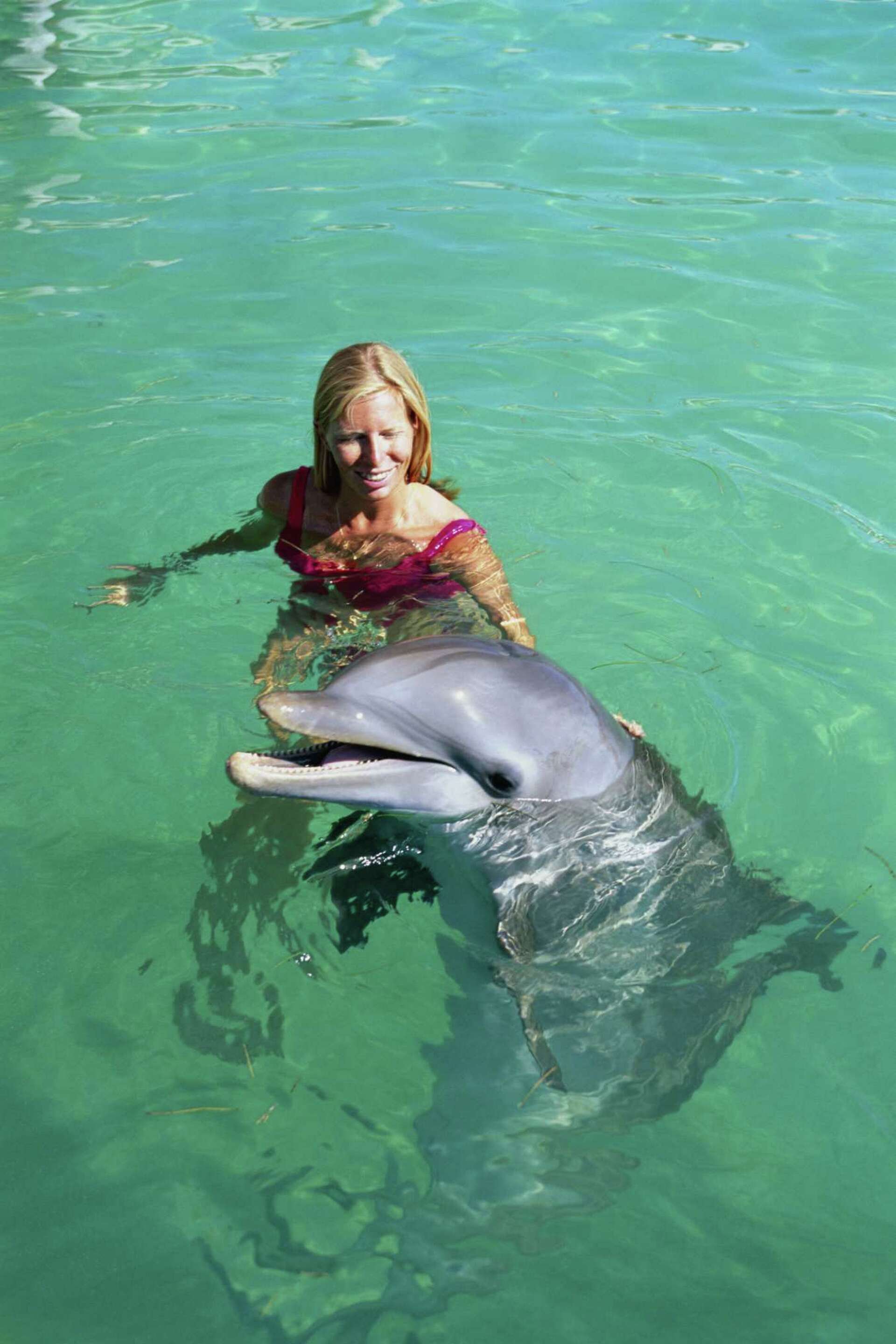 What Are the Job Benefits of Being an Animal Trainer?