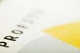 What Are the Key Components of the Strategic Profit Model?