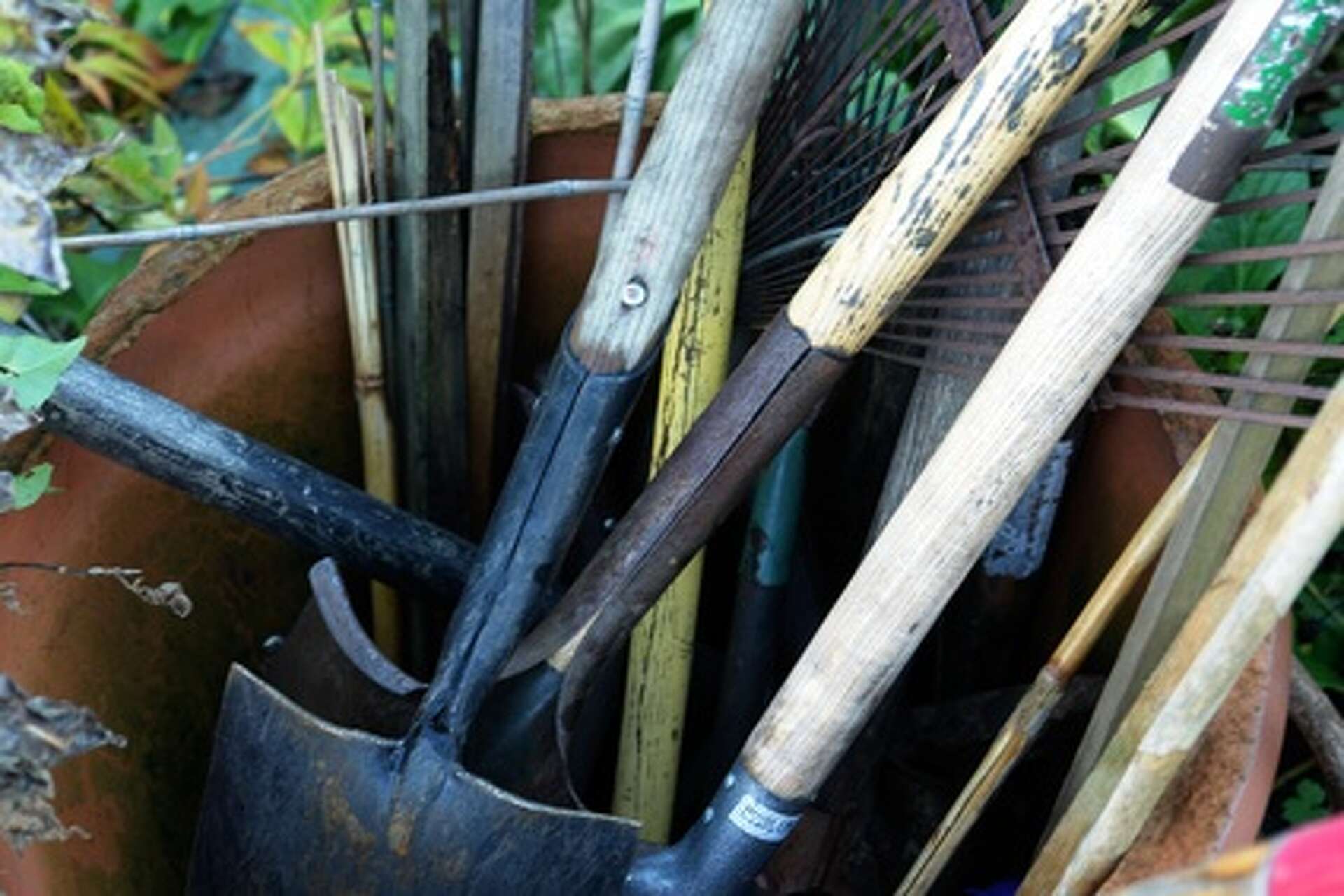 List of Expense Items to Start a Landscaping Business