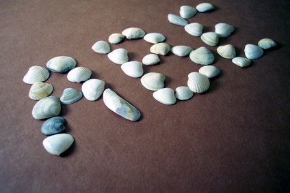 How to Make My Facebook Photo Look Like an Avatar