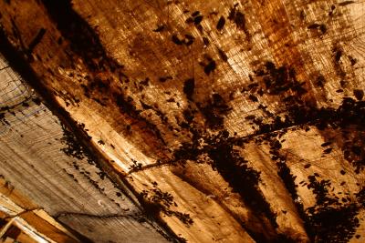 How to Make Grunge Graphics in Illustrator