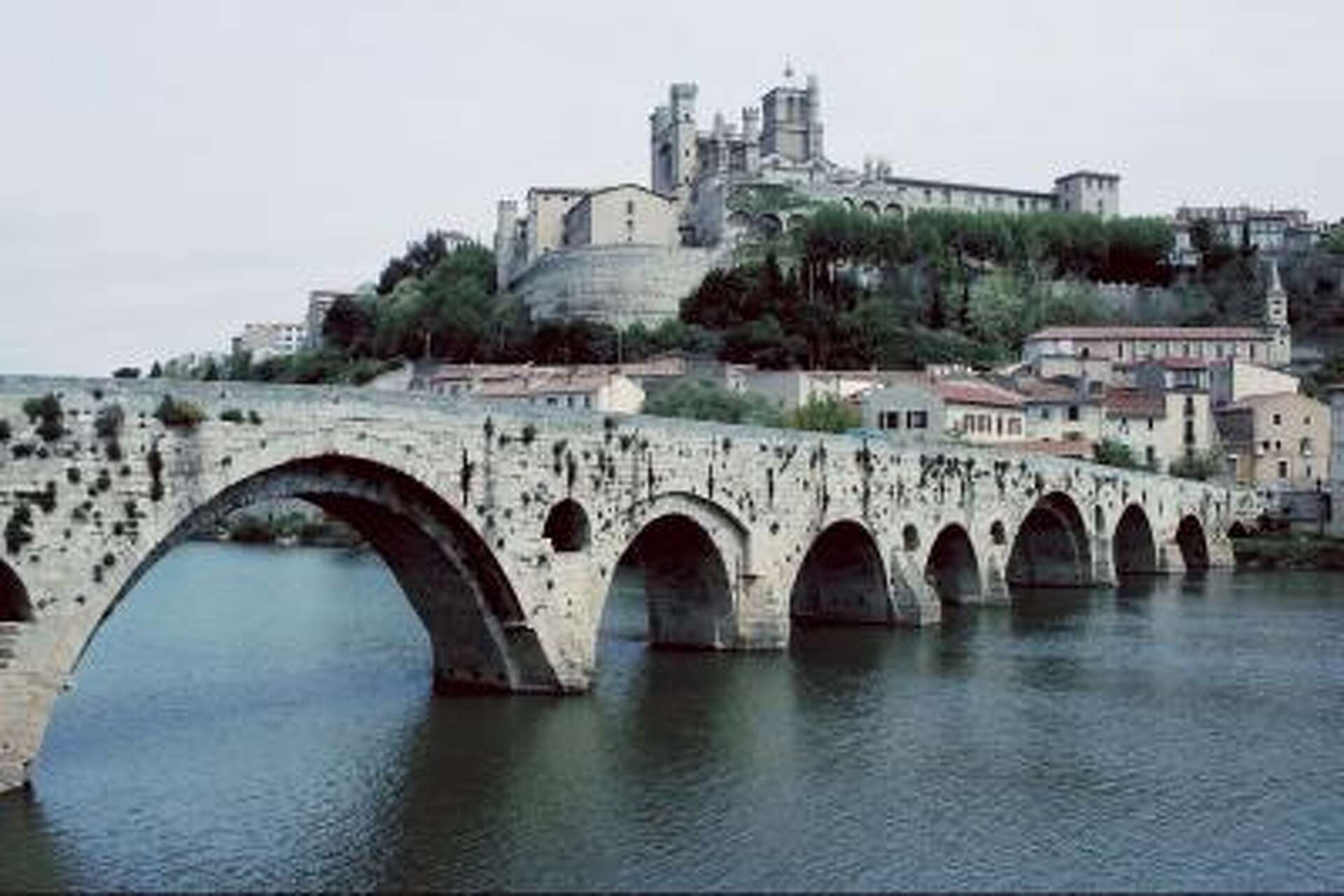 How to Make an Image Using Bezier Curves in Illustrator