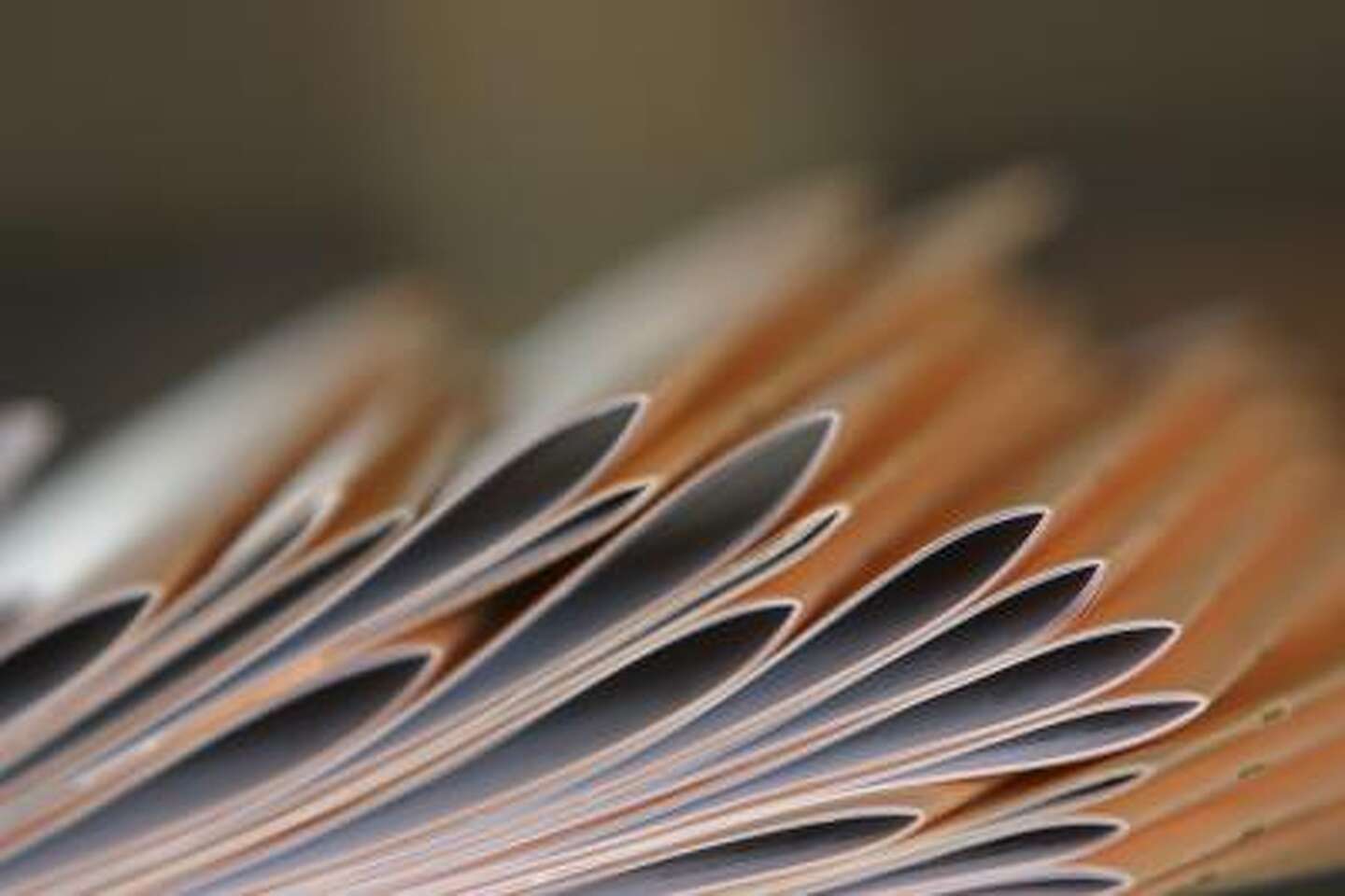 How to Make Trifold Poster Layout on Word