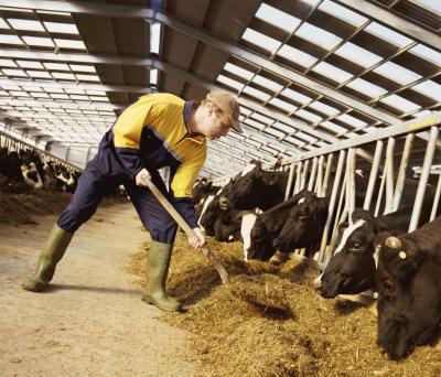 How to Manage & Control Livestock Feed in Small Feed Supply Retail Business