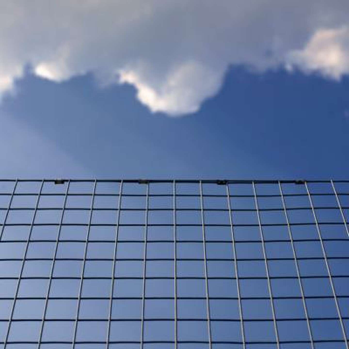 Matrix Organization vs. A Decentralized Organization