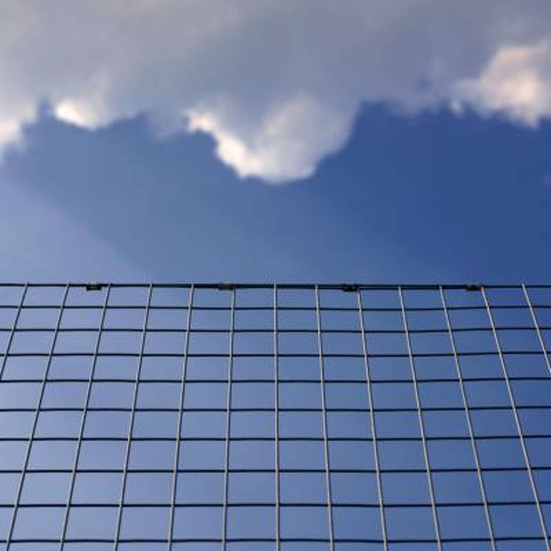 Matrix Organization vs. A Decentralized Organization