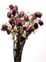 What Is the Meaning of Perishable Inventory?