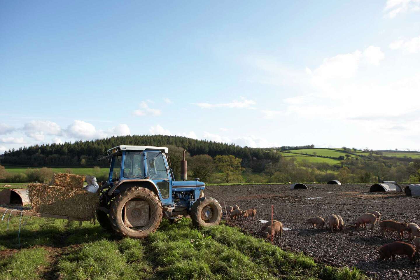 How to Obtain Grant Money to Start a Farm