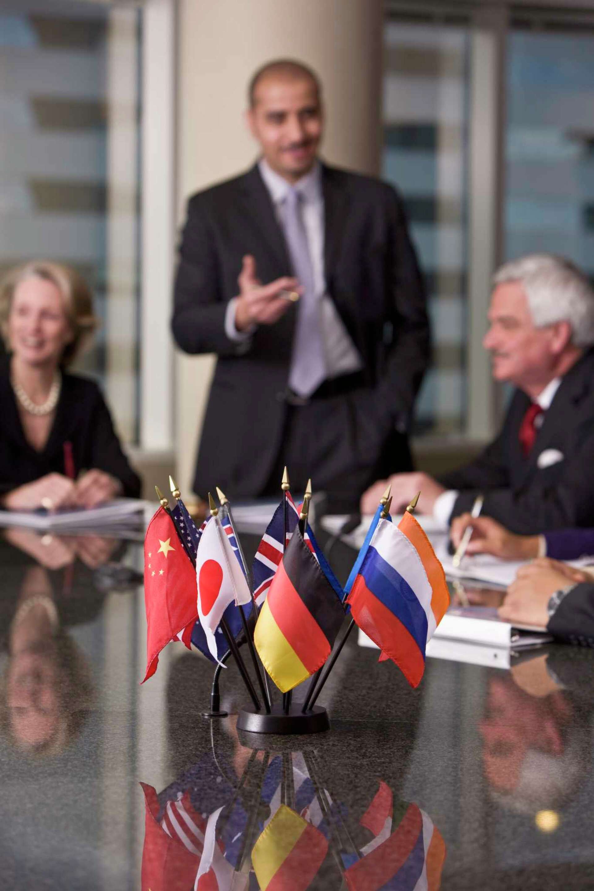 The Organizational Structure of a Multinational Company