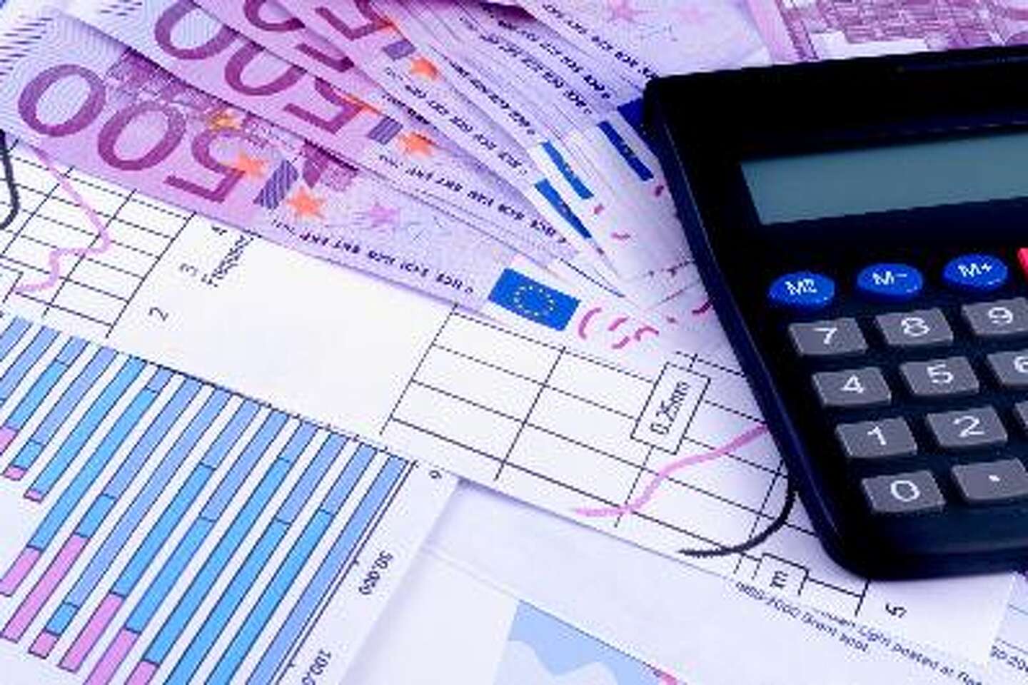 Organizational Structure of the Purchasing Department