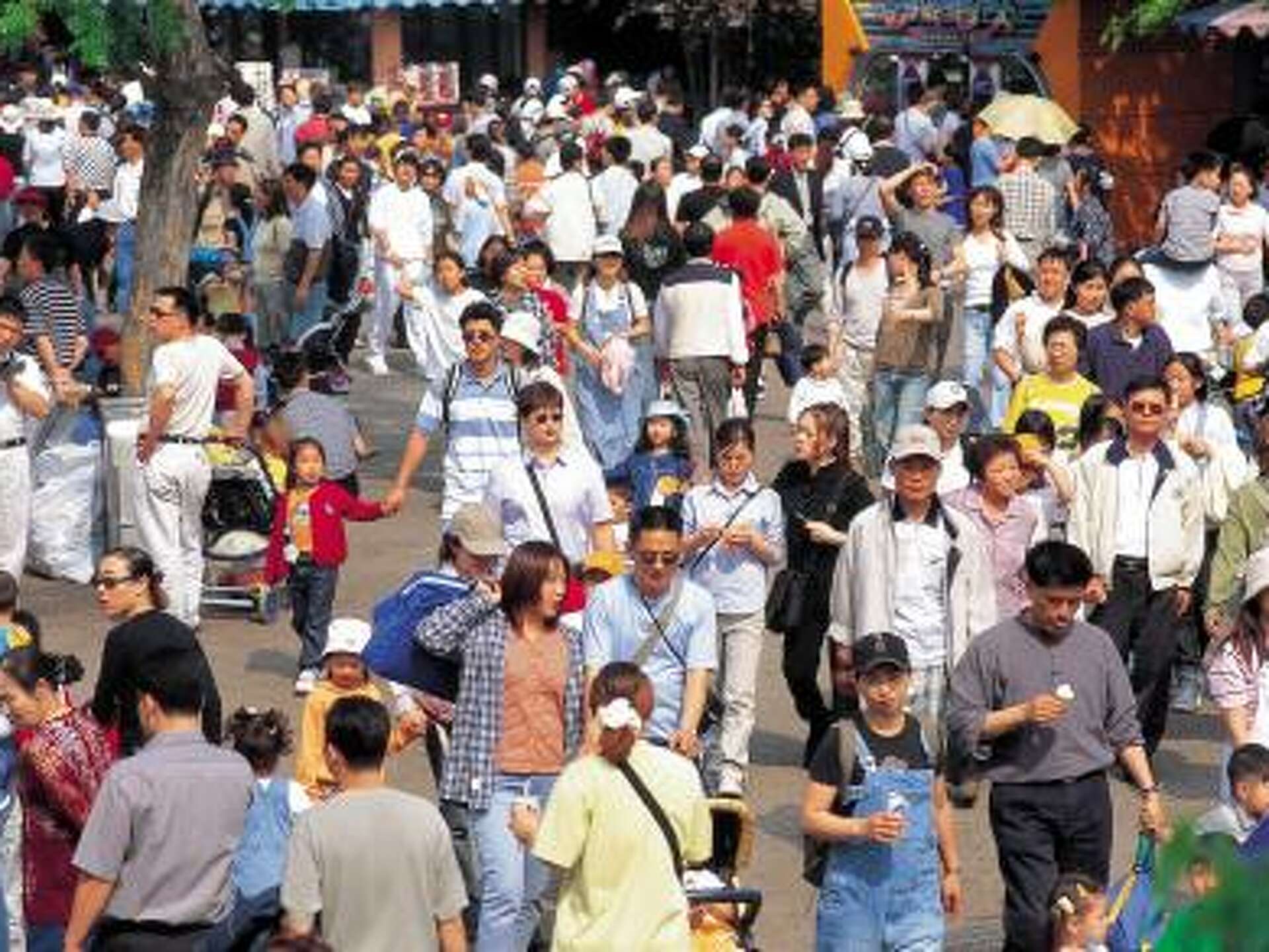 What Is Popularity Appeal in Advertisement?