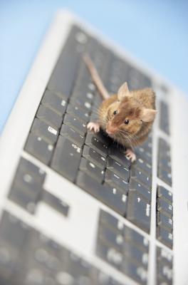 When the Printer Is Turned on the Mouse and Keyboard Stop Working