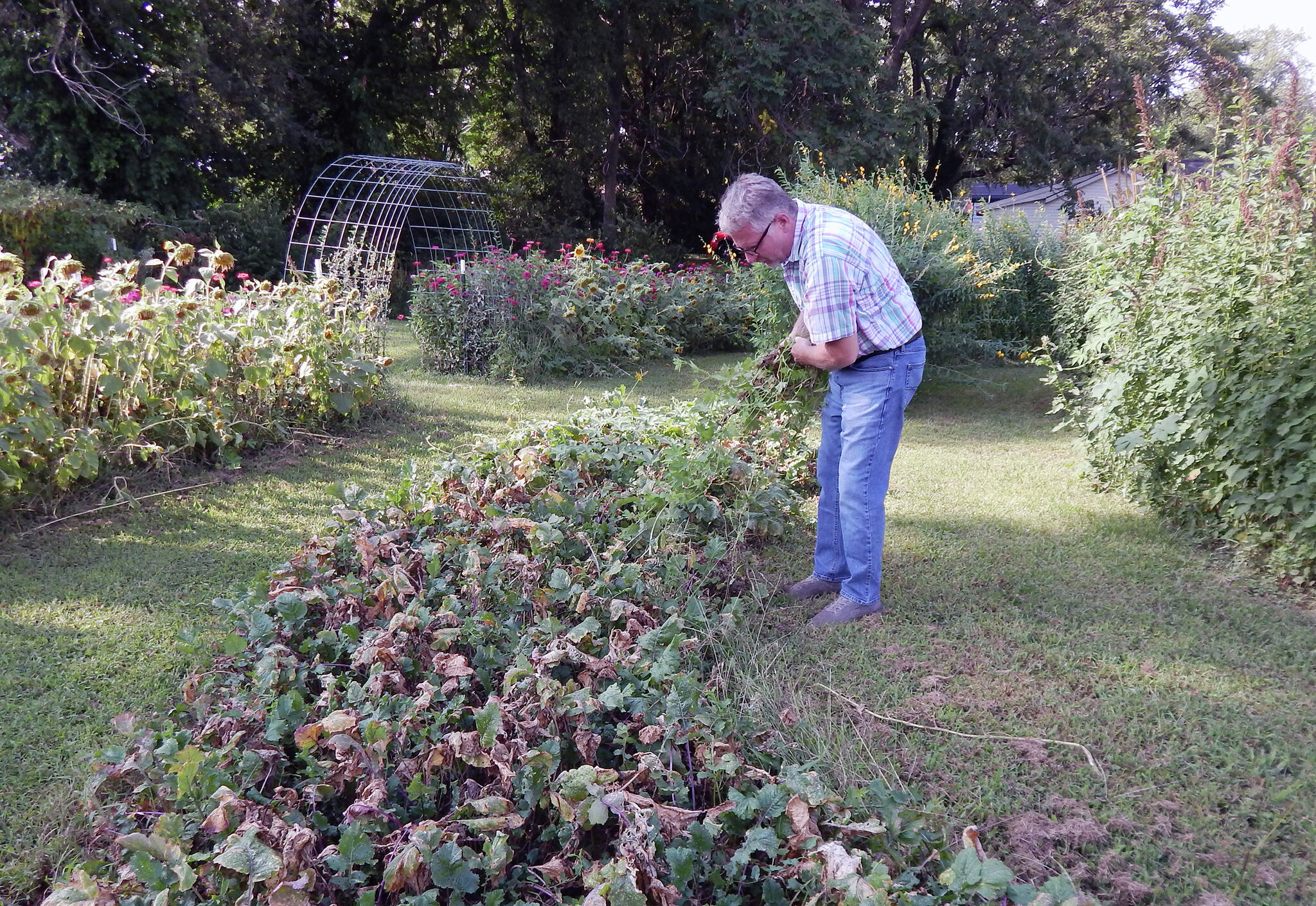 Covering more ground: Cover crops gaining in popularity