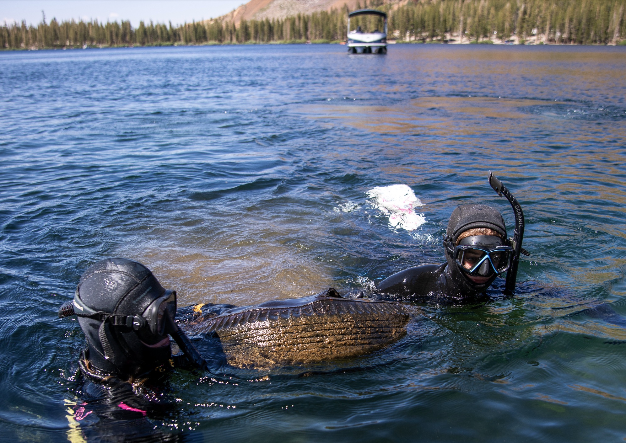 Trash-collecting scuba divers just cleaned up this Eastern Sierra lake