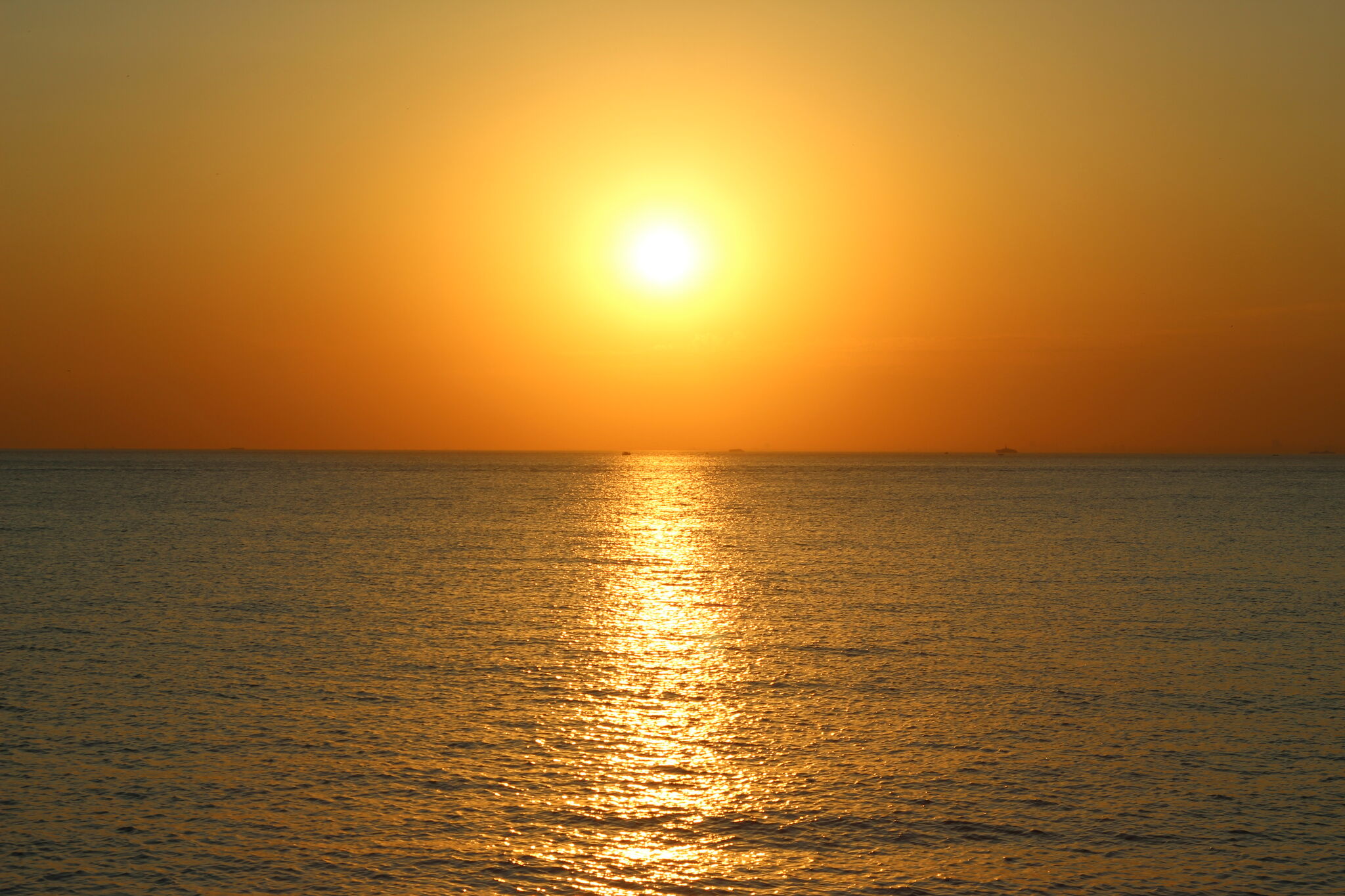 Details of Danny Jansen's $14.5 million, 2-year contract with the Texas ...