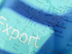 Risks of a Global Product Launch