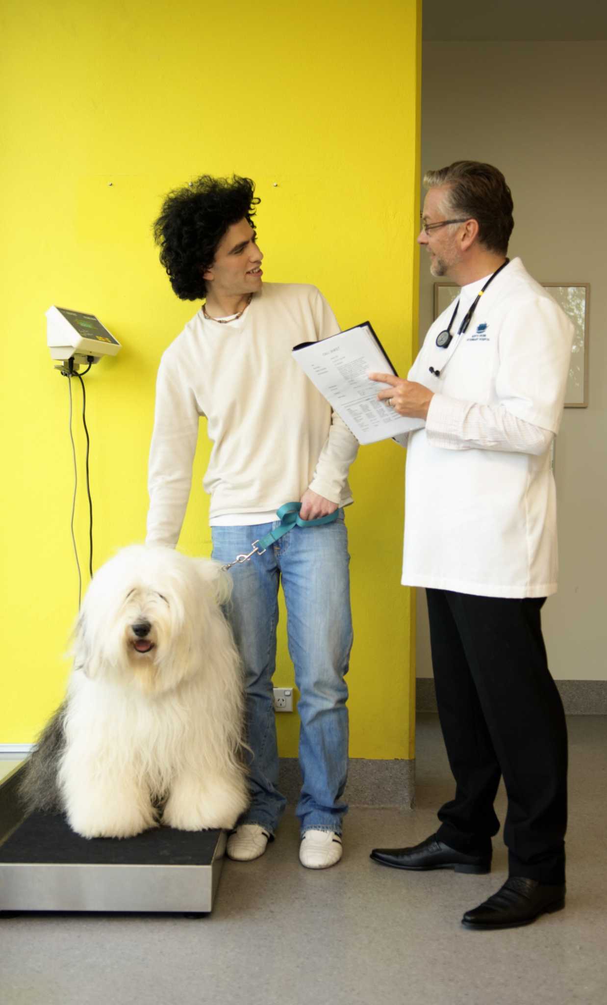 Risks in Owning a Veterinary Clinic