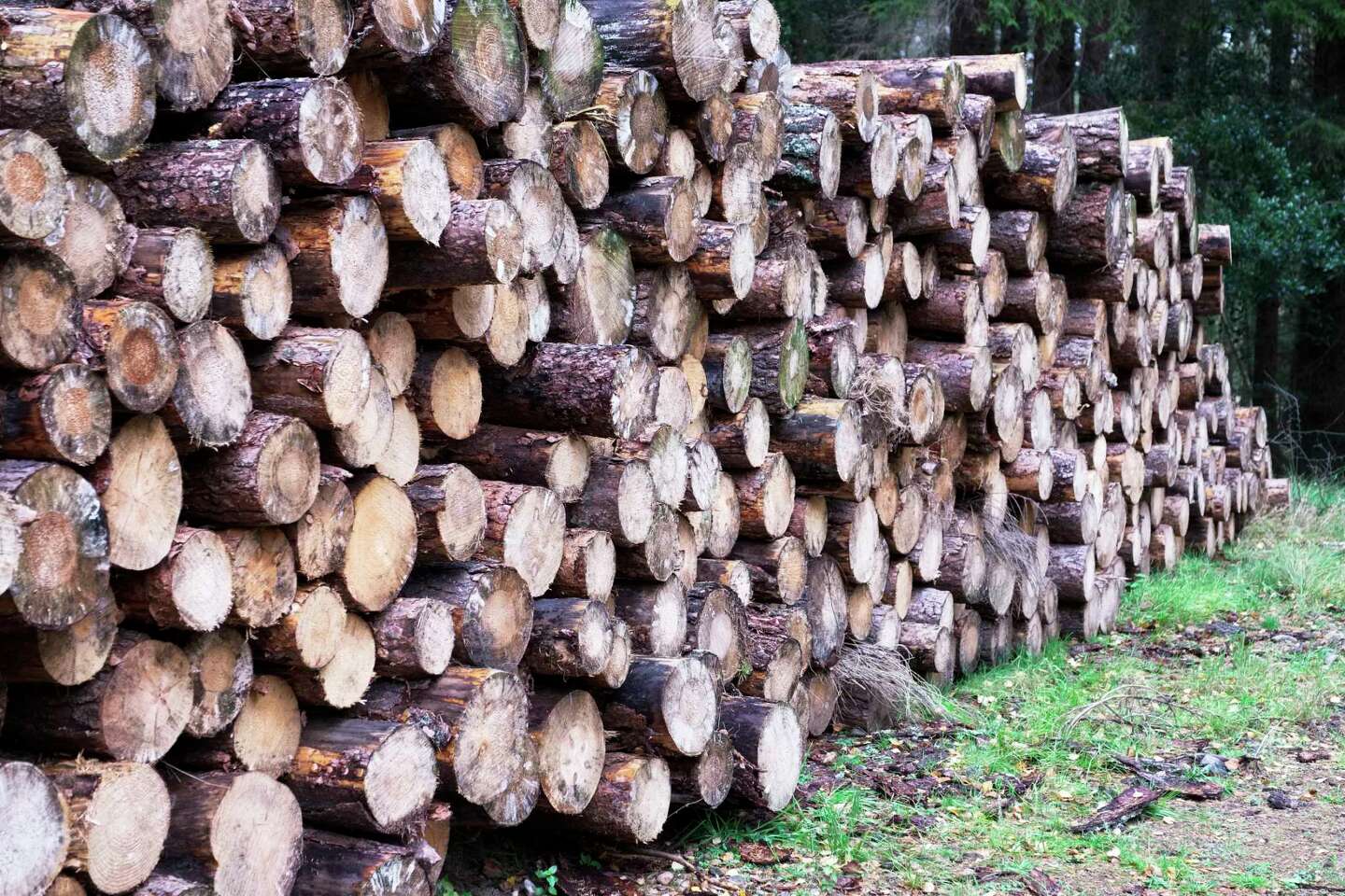 How to Sell Firewood for Profit