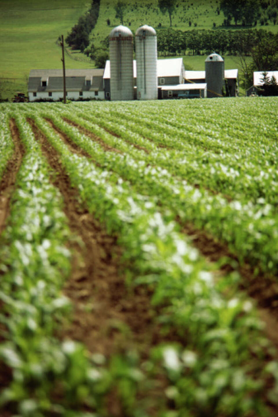 How to Set Up a Foundation for a Farm