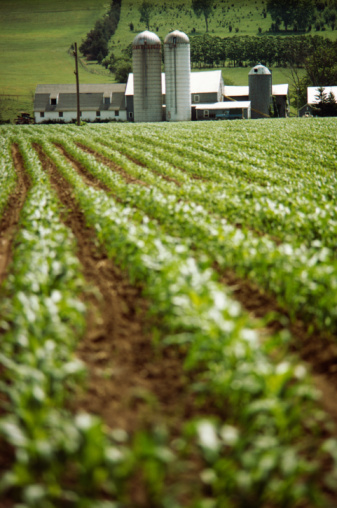 How to Set Up a Foundation for a Farm