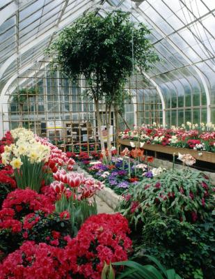 How to Set Up a Plant Nursery