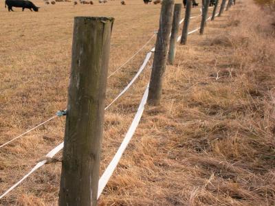 How to Split a Table in Word