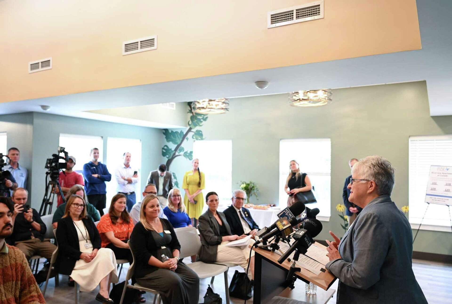 NY mental health commissioner faces no-confidence vote